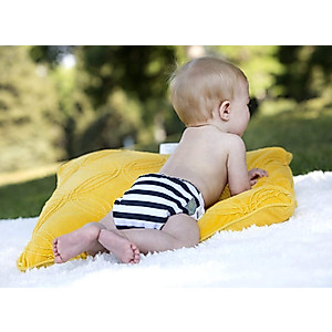 GroVia Reusable All in One Snap Baby Cloth Diaper (AIO) (Opal)