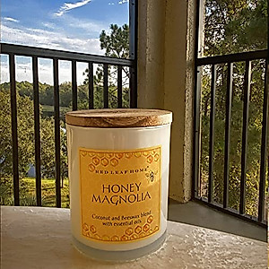 Red Leaf Home | Honey Magnolia Candle, Large | Honeycomb Collection, Aromatherapy, Gift | 15.5oz Jar