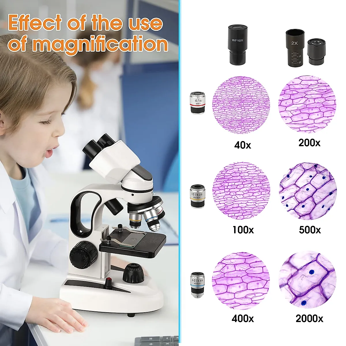 Sedumic Compound Binocular Microscope 40X-2000X LED Lighting for Kids Students Adults School Laboratory Home Education with Microscope Slides Set Phone Adapter Spiral Moving Scale