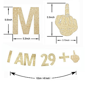 Morndew Gold Gliter I AM 29+1 Paper Banner for 30th Birthday Party Sign Backdrops Funny/Gag 30 Bday Party Wedding Anniversary Celebration Party Retirement Party Decorations