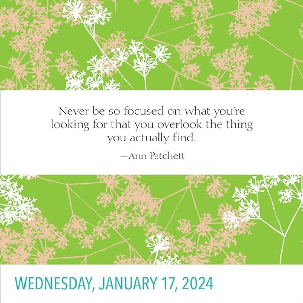 You Are Doing a Freaking Great Job Page-A-Day Calendar 2024: Daily Reminders of Your Awesomeness