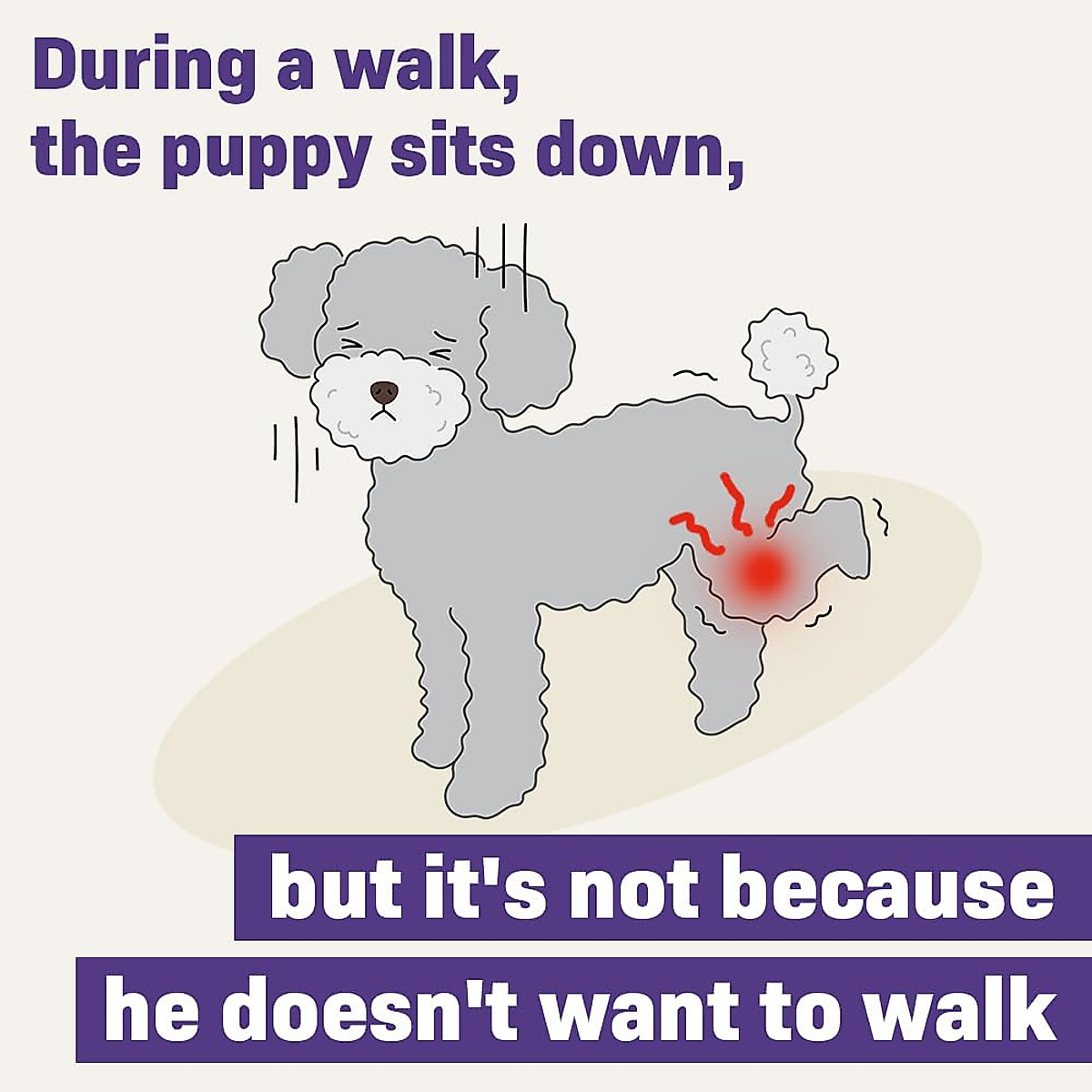 DOCTOR BY Joint for Dog and Puppy Hip & Joint Health Supplements for Dogs with Whey Protein Isolate and Boswellia - 70 Duck Flavored Soft Chews