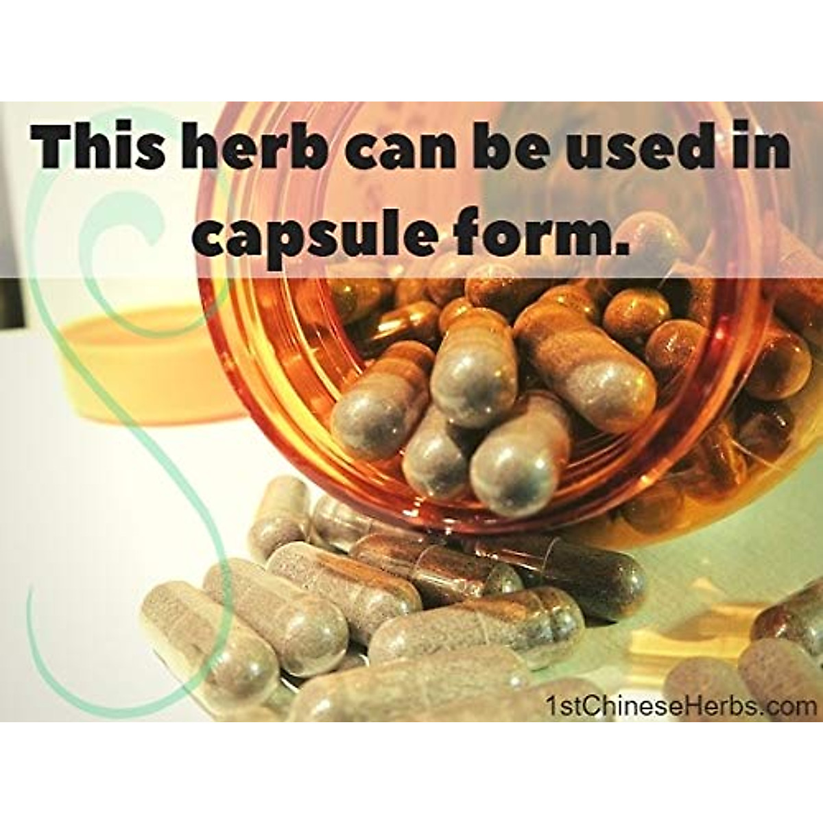 Myriad Mycology Agarikon Mushroom Powder - 1 Pound - Made in USA (Ku Bai Ti) - Natural Immune Booster