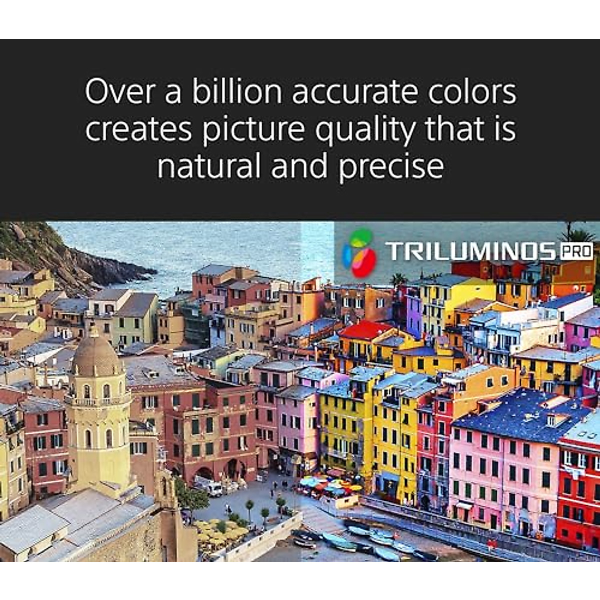 Sony 55 Inch 4K Ultra HD TV X80K Series: LED Smart Google TV with Dolby Vision HDR KD55X80K- 2022 Model (Renewed)