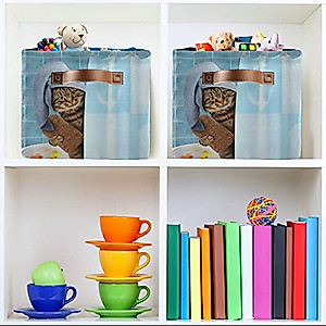 Foldable Storage Baskets,Funny Kitten Cat Storage Bins with Handles, Decorative Cloth Organizer Storage Boxes for Home|Office 15 x 11 x 9.5 in