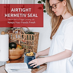 Hasense Ceramic Food Storage Jar, Coffee Canister with Lid, Cookie Candy Jar for Kitchen and Home, Serving for Dog Treat Sugar Loose Tea Flour Coffee Beans Rice Snack Storage 35 OZ (Blue)