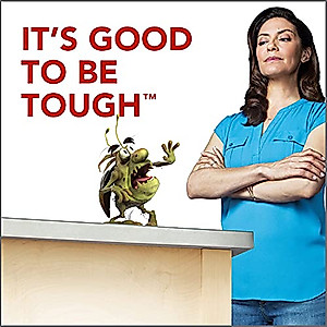 Raid Ant and Roach Killer 17.5 Ounce (Pack of 3)