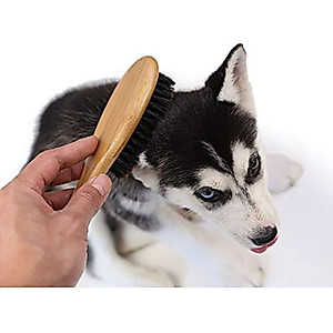 Patina Dog Cat Brush for Shedding, Natural Bamboo Boar Bristles Brush, Pet Grooming Supplies for Short and Long Haired Dogs Cats, Gentle Easy Grooming Massage, Japanese design