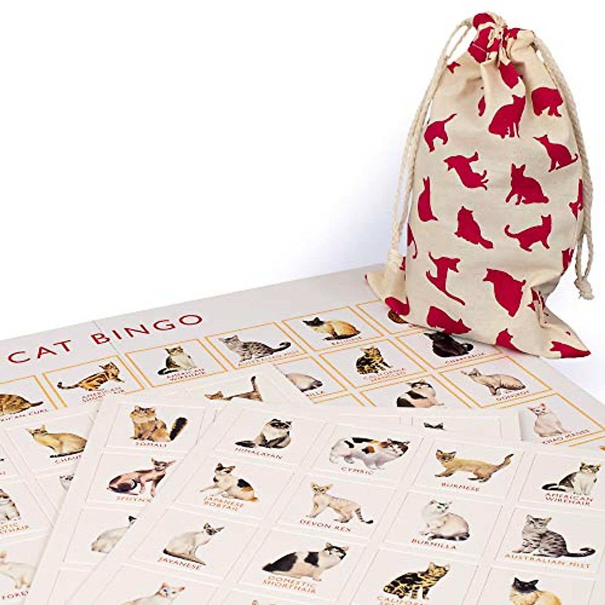 Laurence King Cat Bingo