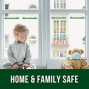 Garsum 32 Pack Window Fly Traps Indoor,Fly Paper Sticky Bug Strips, Glue Fly Catcher for Housefly, Ladybug