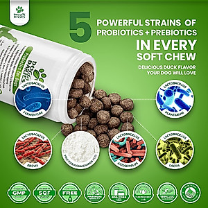 Doggie Dailies Bundle - Probiotics & Omega 3 Soft Chews