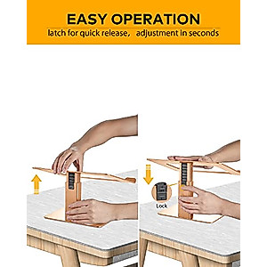 DEEDRR Laptop Stand for Desk Ergonomic Adjustable Height Angle Riser , Computer Stand Laptop Holder for 11-17 Inches Notebook MacBook Aluminum (Gold)…