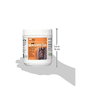 Kentucky Performance Prod Elevate Se Natural Vitamin E and Selenium Powder for Horses, 2 Pound Container