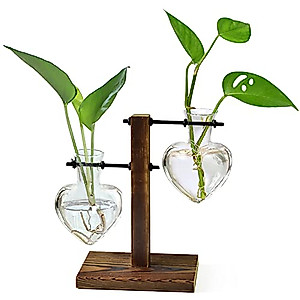 XXXFLOWER Plant Terrarium Wooden Stand, Hydroponic Planter Bulb Glass Metal Swivel Holder Retro Air Plants Water Plants for Home Office Decoration, Plant Lover Gifts - 2 Love Bulb Vase
