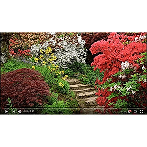 BGI CITRUSGAIN 10lb Bag, Citrus Fertilizer