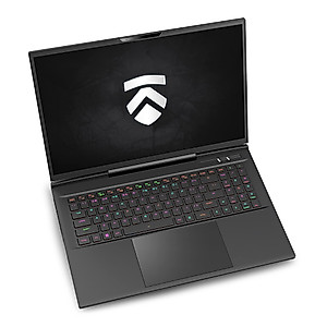 Eluktronics MECH 17 GP2 RTX 4090 Gaming Laptop: Intel Core i9-13900HX, 17" 16:10 240Hz QHD G-SYNC Panel, Cherry MX Mechanical Keyboard, 99.8WHr Battery, Thunderbolt 4, 2TB Gen 4 SSD, 64GB DDR5 RAM