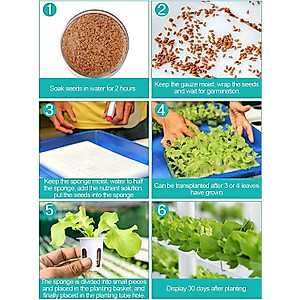 Hydroponic Grow Kit Hydroponics Growing System 4 Layers 72 Plant Sites Food-Grade Pipes Hydroponic Planting Equipment with Water Pump