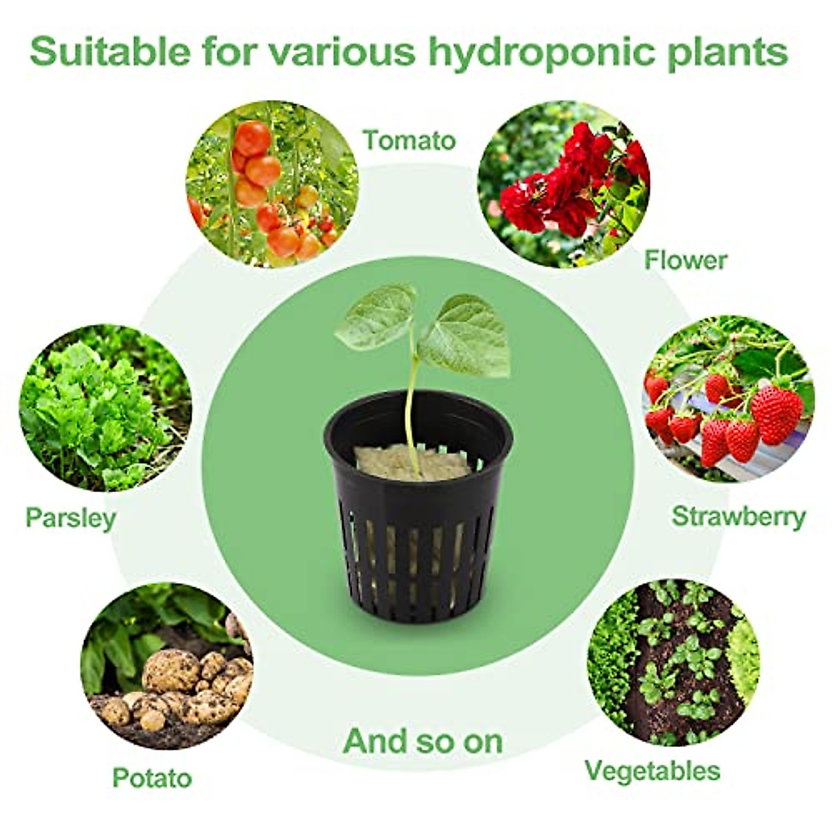 72 Sets Rockwool Cubes and Net Pots, 1.2 * 1.2 * 1.5 inch Rock Wool 72 Plugs & 72-Pack 2inch Net Cups for Hydroponics Growing Systemm, Garden Tower Supplies