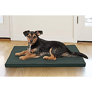Furhaven Small Dog Bed Water-Resistant Two-Tone Kennel & Crate Pad w/ Removable Washable Cover - Green/Gray, Small