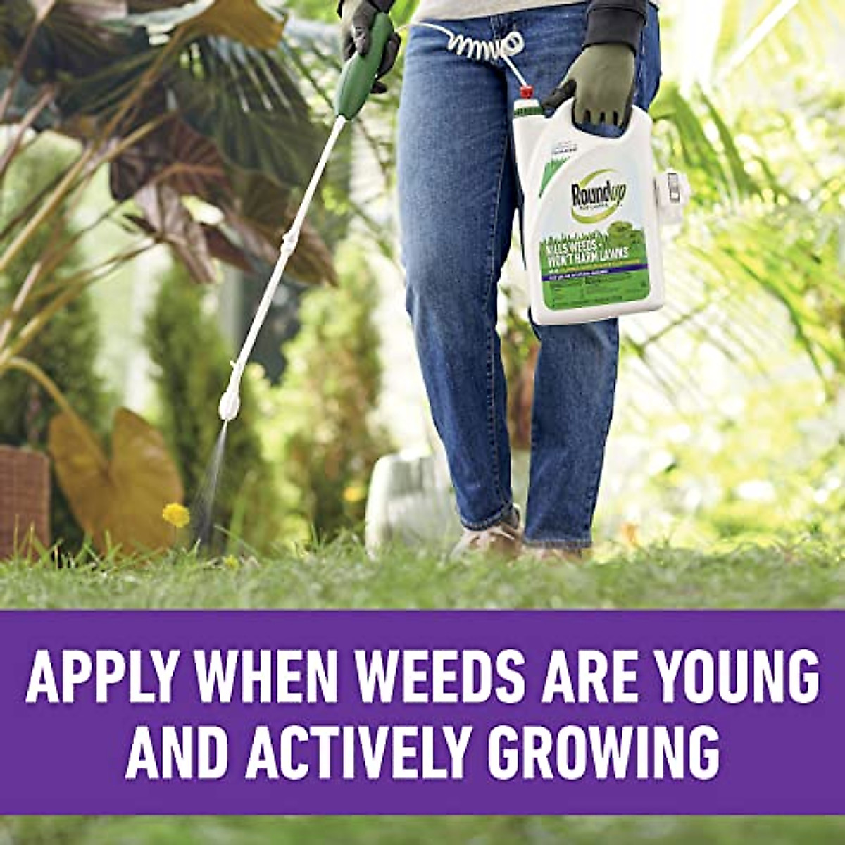 Roundup for Lawns₄ Refill (Southern) - All-in-One Weed Killer for Lawns, 1 gal.