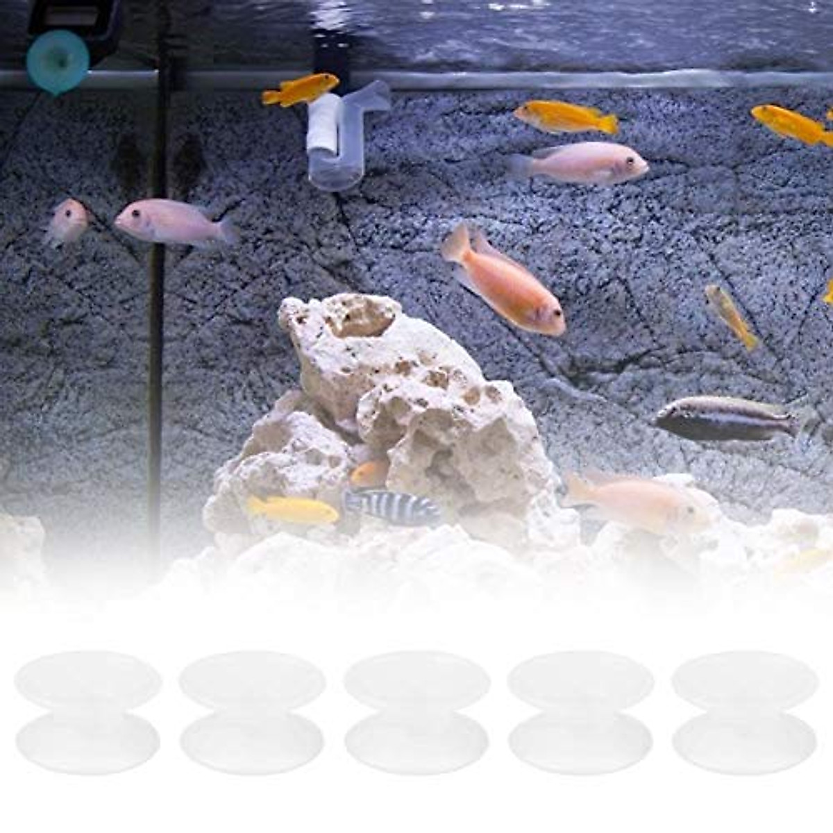 10pcs Double Sided Suction Cup, Transparent Silicone Gel Glass Fish Tank Aquarium Suction Cup Double Sided Suction Cups