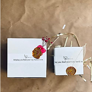 Borne Real, Vanilla Adore, Aromatherapy Scented Candles for Home, Smells Like caramelized Sugar & Vanilla, Candles of Stress Relief, 100% Natural Coconut Wax