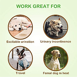 Pet Soft Doggie Diapers - Disposable Dog Diapers for Female in Heat Period or Urine Incontinence, Puppy & Cat Diapers Ultra Absorbent 12pcs XXSmall