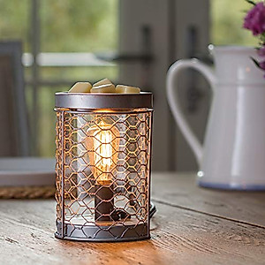 CANDLE WARMERS ETC. Vintage Bulb Illumination Fragrance Warmer- Light-Up Warmer for Warming Scented Candle Wax Melts and Tarts to Freshen Room, Chicken Wire Silver