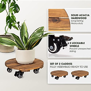 Idzo 2pack Wood Plant Caddy With Wheels Heavy Duty, 264 Lbs Capacity, 12 Inch Acacia Hardwood Plant Dolly, Plant Stand with 360° Lockable Wheels for Plant Pots, Heavy Objects Hauling - Natural Wood