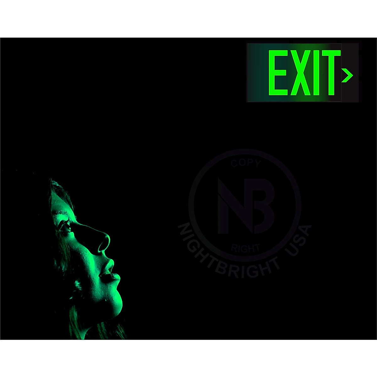 Photoluminescent Exit Sign Black - Aluminum - UL 924 Code Approved/IBC/NFPA 101 | NightBright USA Part Number ULB-050