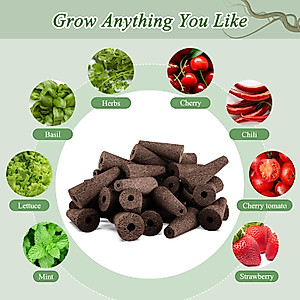 Tigvio 50 Piece Hydroponic Pods Kit: Grow Anything with 50 Grow Sponges - Compatible with All Hydroponics Brands