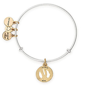 Alex and Ani Women's Initial Y II Bangle Two Tone Bracelet, Rafaelian Silver, Expandable