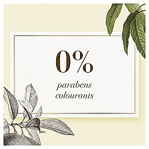 Herbal Essences Bio: Renew White Grapefruit & Mosa Mint Conditioner, 4 Count