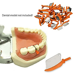 DAMUZHI Orthodontic Matrix Wedges Dental Prime Teeth Interproximal Wedge Guard With Metal Plastic Wedge Knife With Protection Dental Steel 3box 50Pcs/box