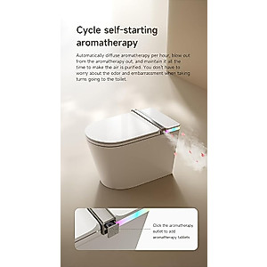 Smart Bidet Toilet with Built-In Bidet - Elongated Toilet with Side Knob - Heated Bidet Seat -One Piece Bidet Toilet Seats with Foot Sensor Operation - Auto White Toilet with LED Display for Bathroom