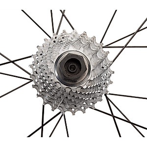 Park Tool BBT-5/FR-11 Bottom Bracket/Cassette Lockring Tool