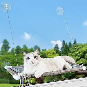 Pupagree Cat Hammock for Window, Cat Window Perch with Sturdy & Space-Saving Design 丨Waterproof Cat Perch for Your Feline's Comfort and Enjoyment (Beige)