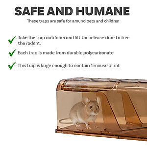 Sunnydaze Humane Mouse Trap - Indoor for Home - Outdoor Mouse Traps - Child and Pet Safe - Reusable - 2-Pack