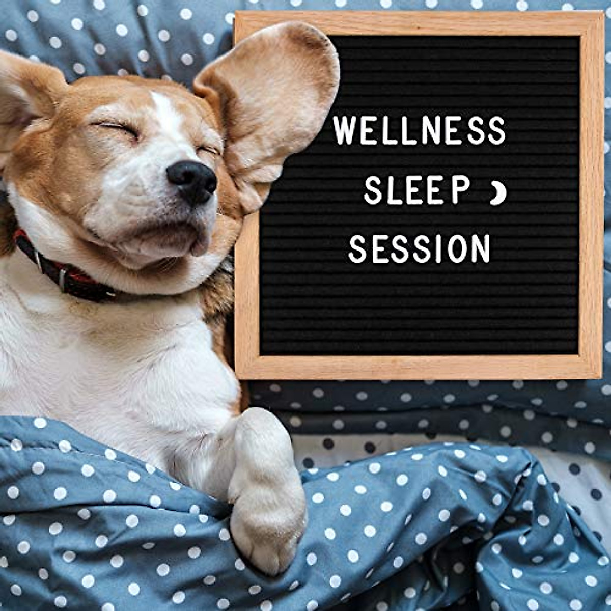 ABELL Felt Letter Board Include 680 Pre-cut Letters, 10x10 Inches Message Changeable Board for Farmhouse Office Rustic Home decor