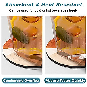 Nipichsha Coasters for Drinks, Set of 6 Absorbent Rubber Drink Coasters with Non-Slip Backing, Cute Drink Coasters for Cup Kitchen Home Decor Housewarming Gift, Round 4", Simple Abstract Art