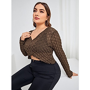 Floerns Women's Plus Size V Neck Lettuce Trim Long Sleeve Mesh Crop Top T Shirt Brown 2XL