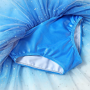 EQSJIU Dance Leotards For Girls With Tutu Ballet Skirts Dresses Gymnastics 3t 4t Blue Snowflake Diamond Gradient Colors White 3-4t Cute Princess Dress