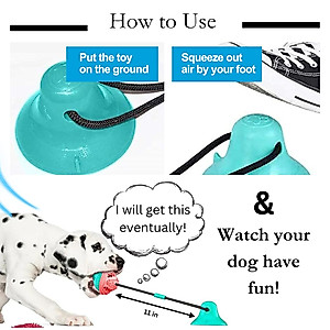 CharTess LLC Bundle -Interactive Dog Ball Combined with Bone-Shaped Chew Toy. Alleviate Separation Anxiety and Boredom, Puppy Teething Chew Toy, Toys to Improve Canine Dental Health