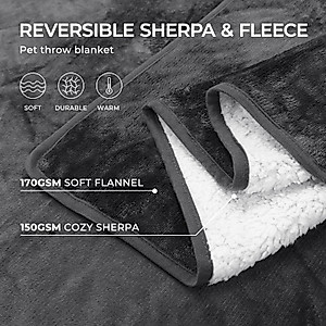 Waterproof Pet Blankets for Extra Large Dog Small Cat Blanket Washable for Couch, Car, Bed Sherpa Fleece Puppy Blanket Soft Plush Reversible Throw Furniture Protector Dark Grey Small（40" x 28"）