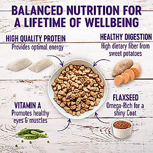 Wellness Complete Health Dry Dog Food with Grains, Made in USA with Real Meat & Natural Ingredients, All Breeds, Adult Dogs (Whitefish, 30-lb) – With Nutrients for Immune, Skin, & Coat Support