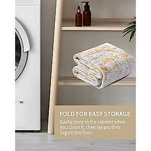 ILANGO 5 x 7 Area Rug for Living Room Bedroom Washable Rugs with Non Slip Backing High Traffic Indoor Carpet for Dining Room Dorm Non-Shedding & Fade Resistant Modern Rugs (Golden)