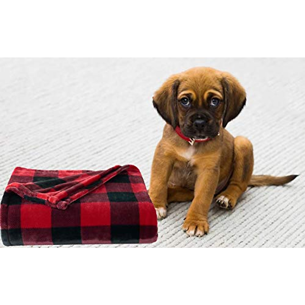 The Big One Throw Blanket, Super Soft Plush Red and Black Buffalo Plaid Pattern Checked Throw for Couch, or Bed Cozy Lightweight Fluffy Oversized 5 x 6 ft, Living Room and Bedroom