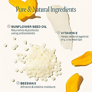 Cliganic Organic Lip Balm Set - 6 Tropical Flavors - 100% Natural Moisturizer for Cracked & Dry Lips (Packaging May Vary)