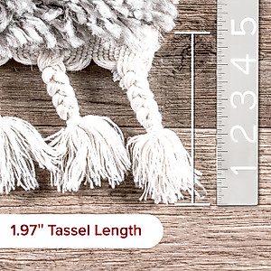 nuLOOM Neva Modern Tasseled Shag Area Rug, 4x6, Grey