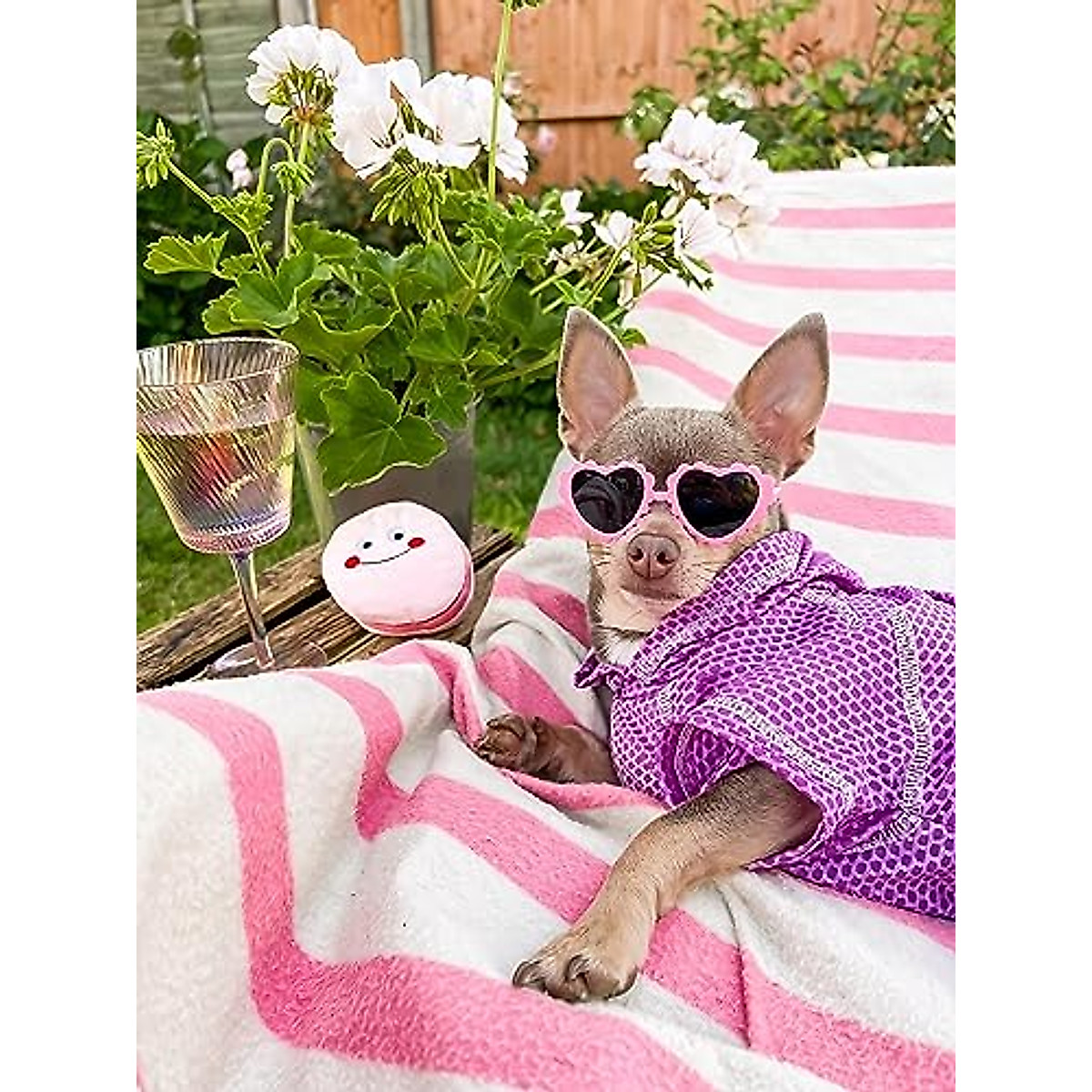 Fitwarm 2 Piece Dog Cooling Shirt and Skirt, Quick Dry Dog Summer Clothes for Small Dogs Girl, Breathable Pet Sun Protection Clothing, Stretchy Cat Outfit, Neon Purple, Small
